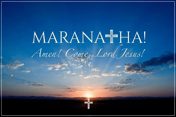 Mary Refuge Of Souls